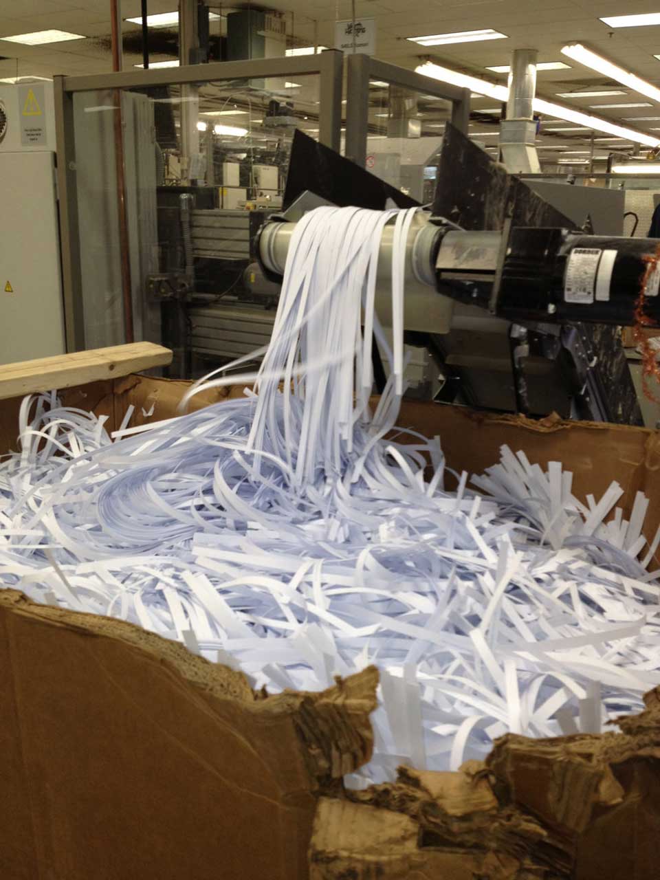 paper-recycling - Worth Higgins